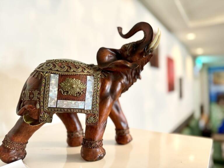 【八千代市】大和田新田の本格的スリランカ料理「OTUNNA（オツンナ）スリランカレストラン」日曜ランチはなんと食べ放題も！ | 号外NET ...